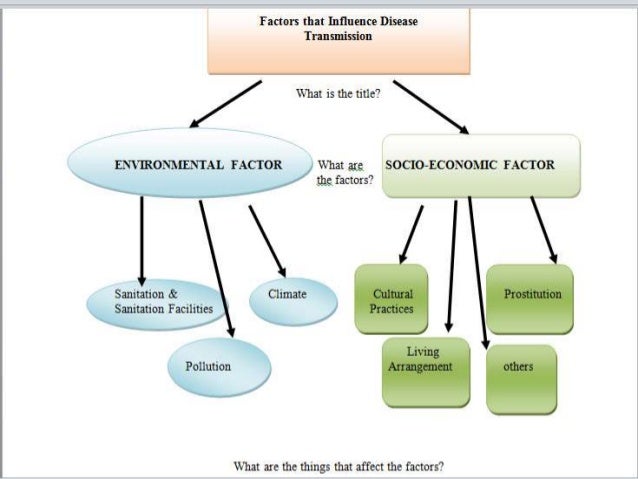 Health graphic organizer