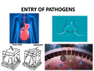 Health hazards of Biomedical waste management | PPTX