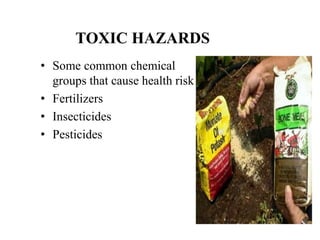 Health hazards face by agriculture workers | PPTX