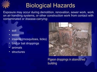 Health hazards in construction | PPT
