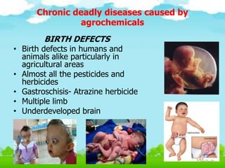 Health hazards of agrochemical inputs in our food | PPTX