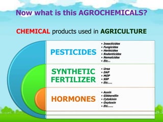 Health hazards of agrochemical inputs in our food | PPTX