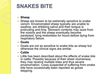 Health hazards to livestock Allah Dad Khan | PPTX