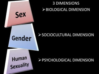 Human Sexuality Dimension | PPTX