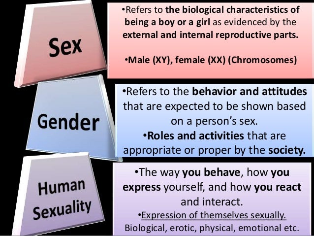 Human Sexuality Dimension