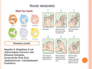 Health hygiene & nutrition | PPTX