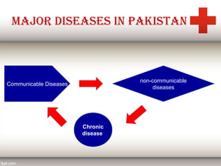 Health issue in Pakistan | PPT