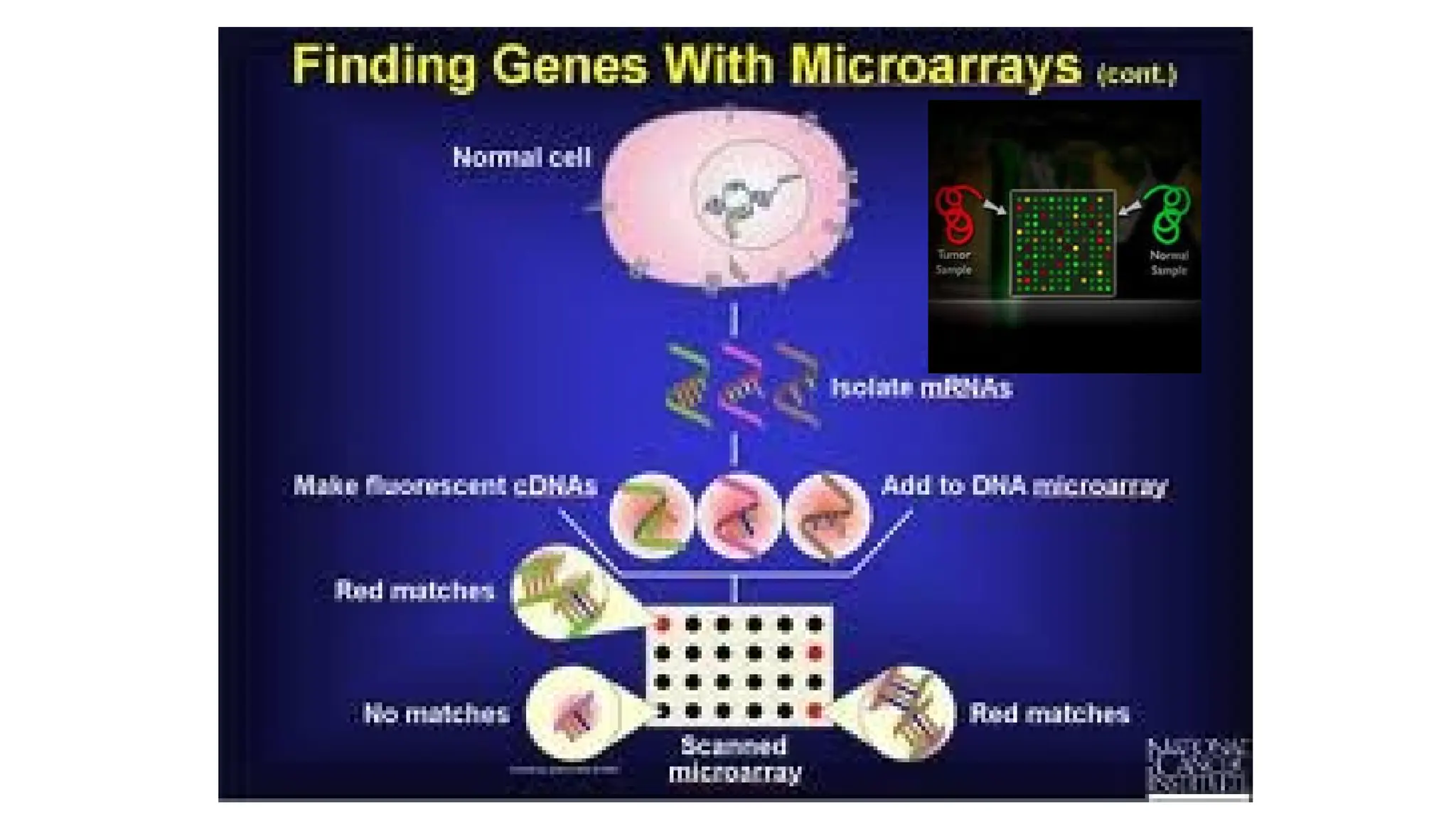 Health Lecture on molecular diagnosis and microarrays | PPTX