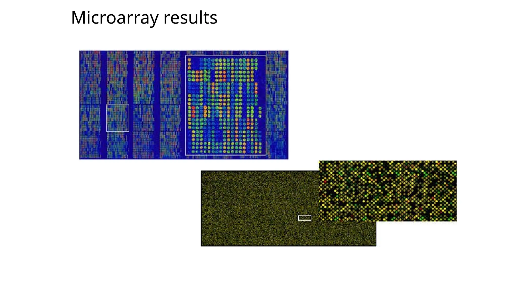 Health Lecture on molecular diagnosis and microarrays | PPTX