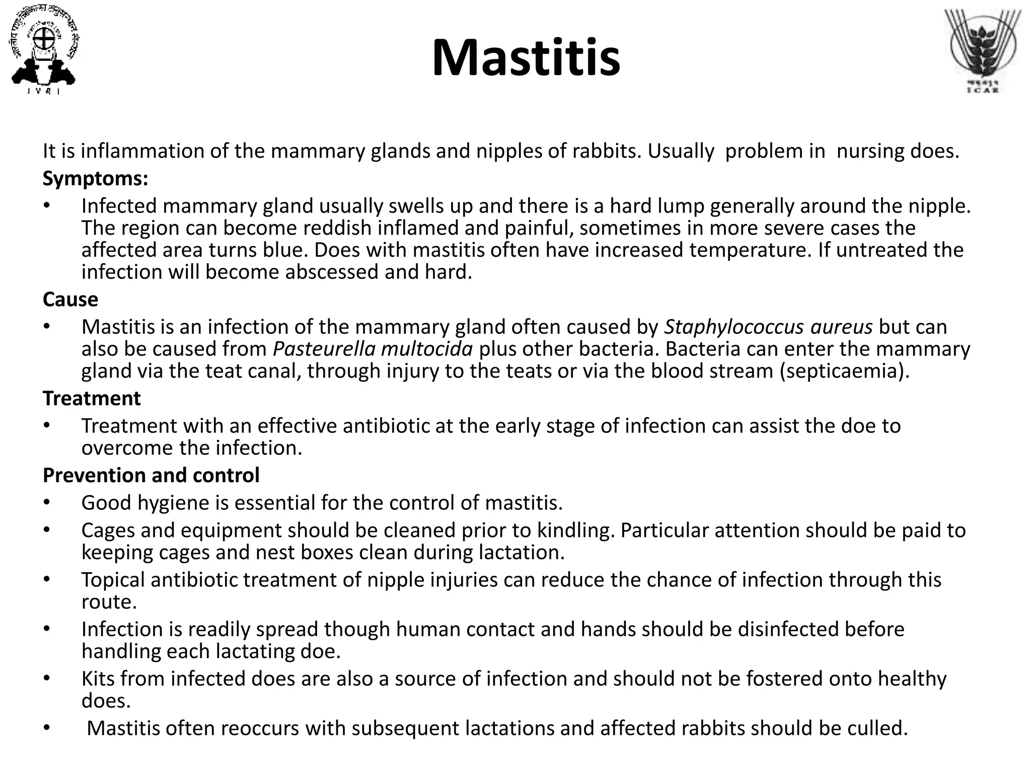 Health management of rabbits | PPTX