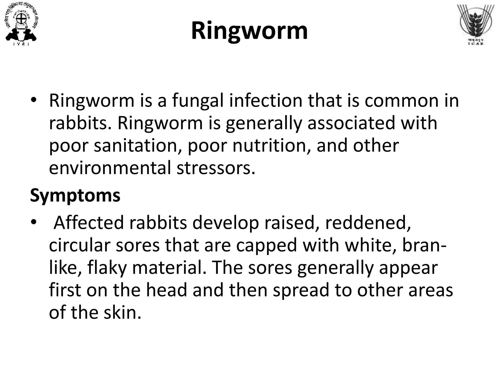 Health management of rabbits | PPTX