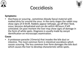 Health management of rabbits | PPTX