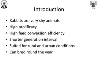 Health management of rabbits | PPTX