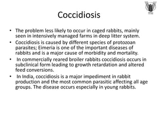 Health management of rabbits | PPTX