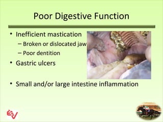 Health managment | PPT | Digestive Disorders | Diseases and Conditions