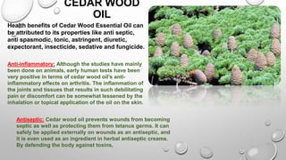 Health on essential oils | PPTX