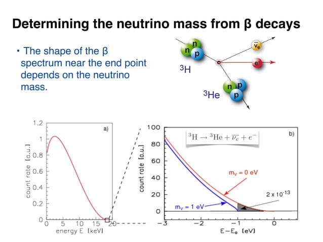 Neutrinos: The Chameleon in the Elementary Particle Zoo | PDF