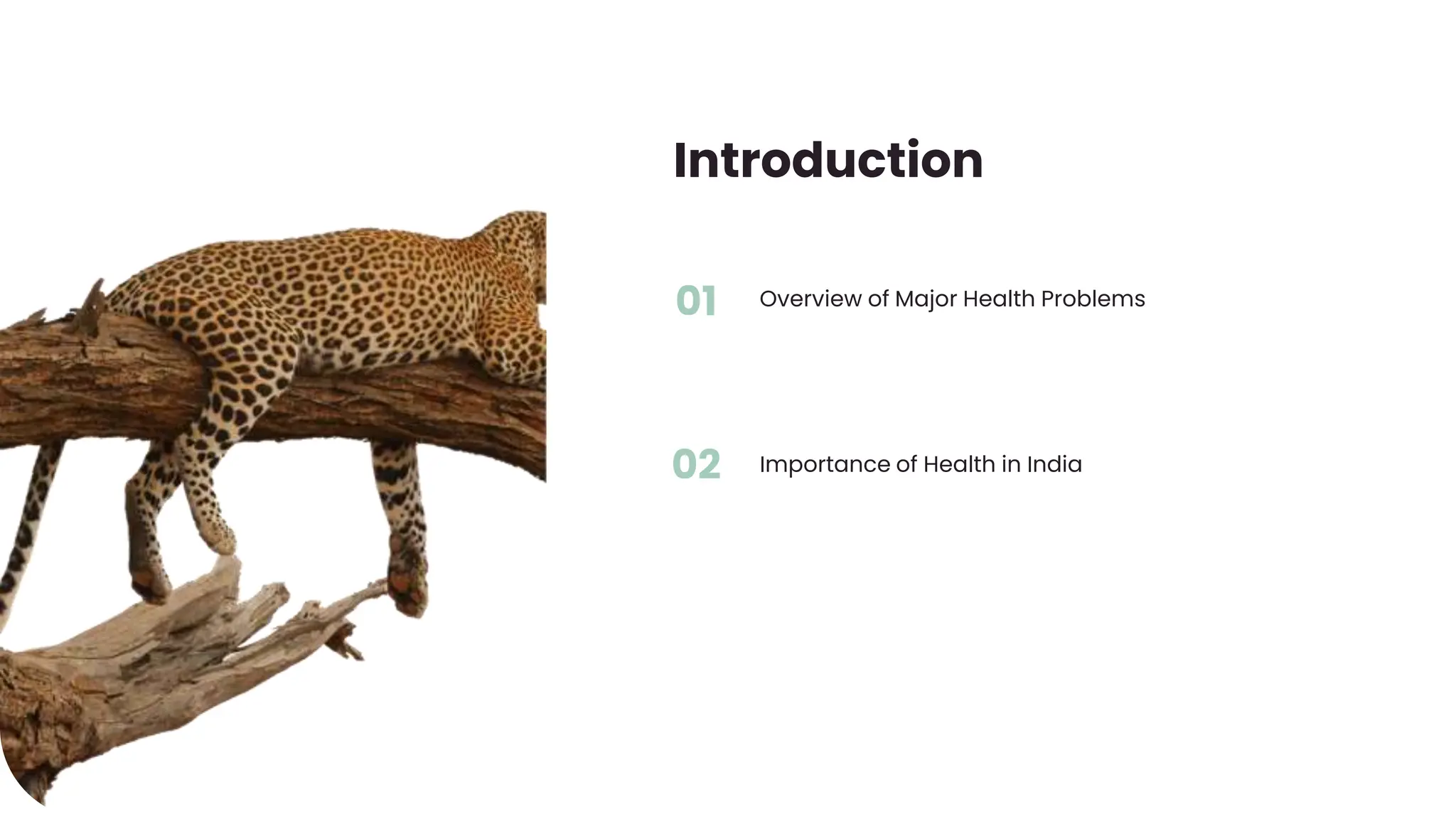 Health Problems in India; n overview.pptx