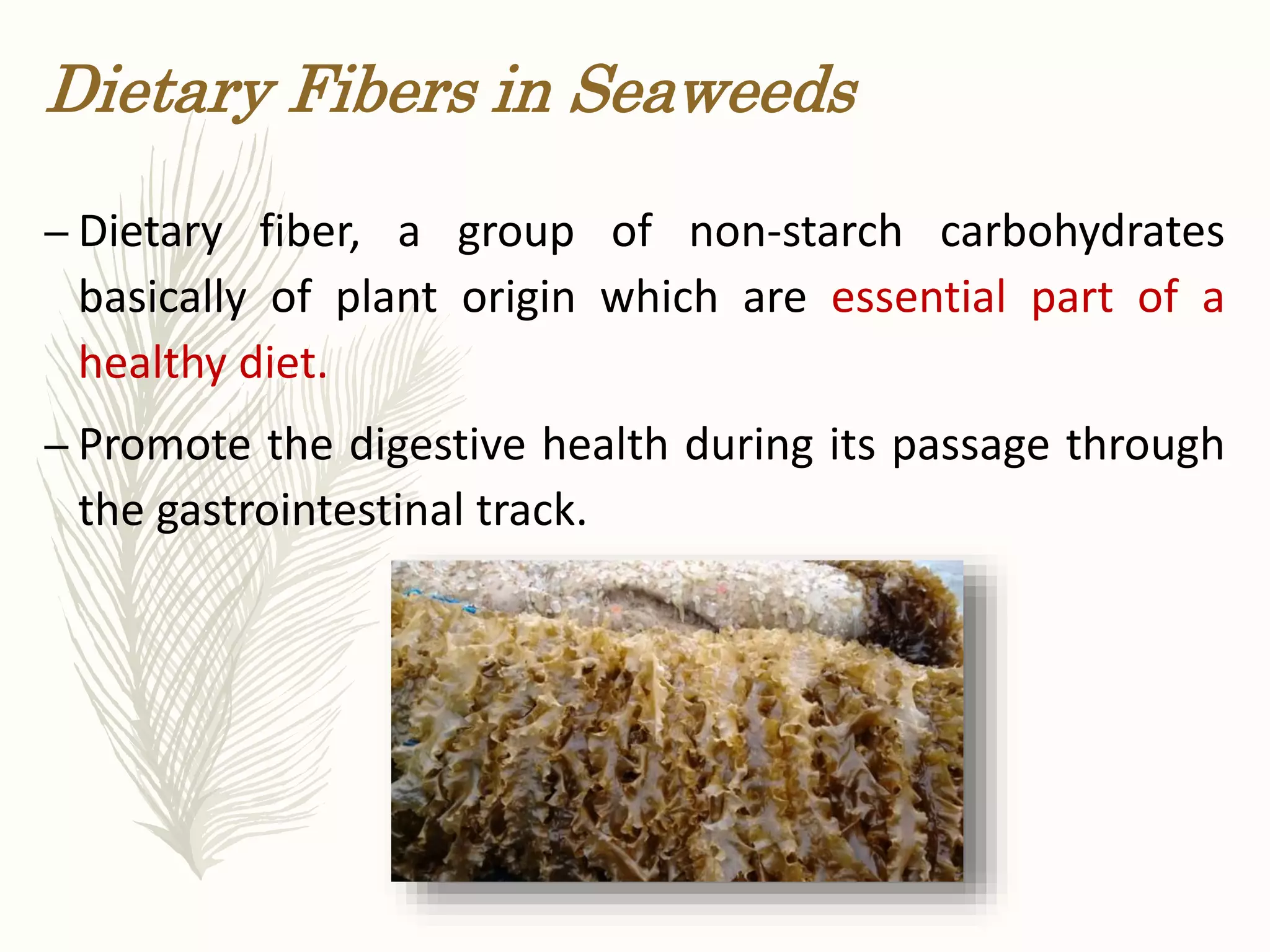 Health promoting properties of seaweeds | PPTX