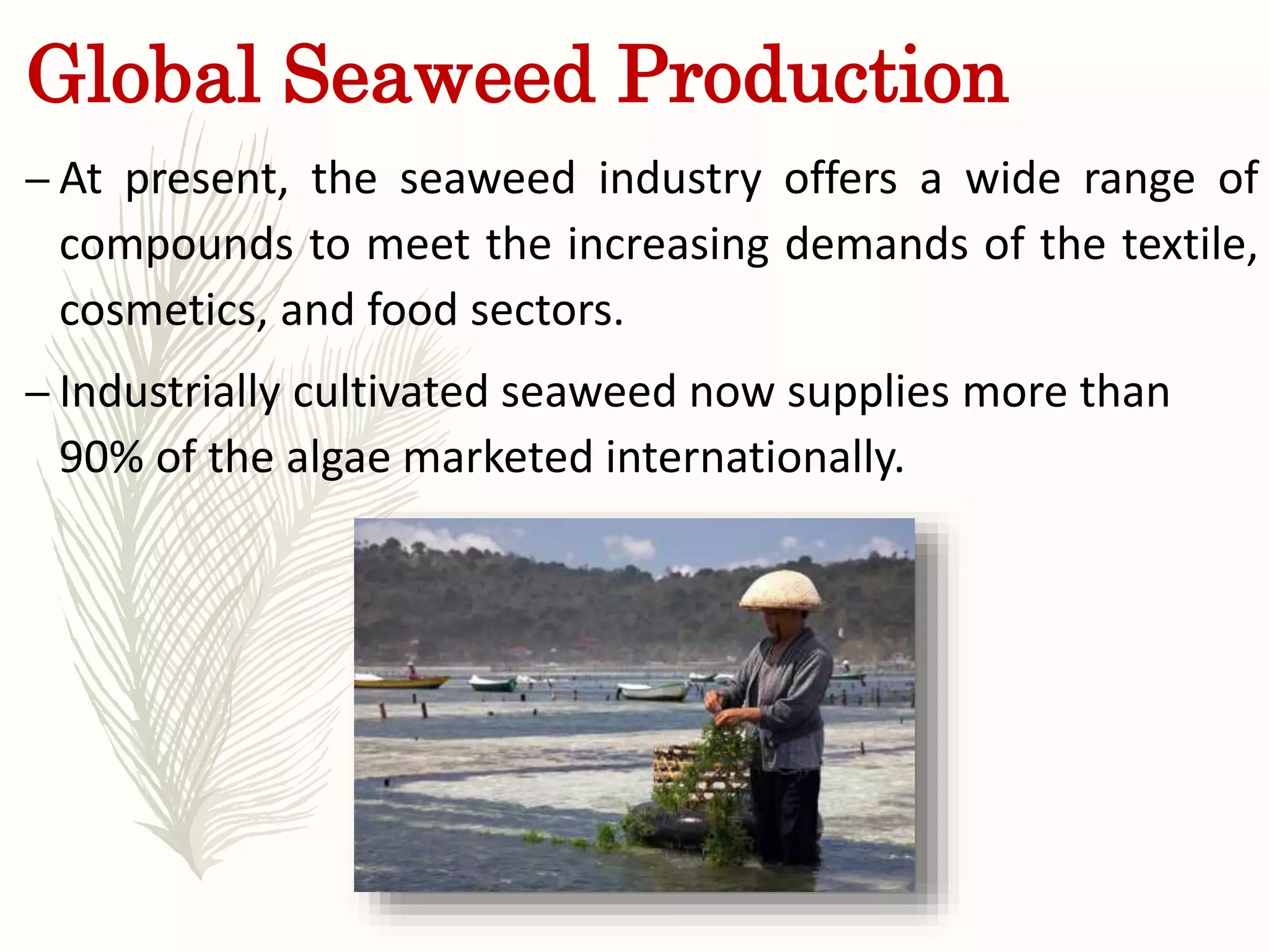 Health promoting properties of seaweeds | PPTX