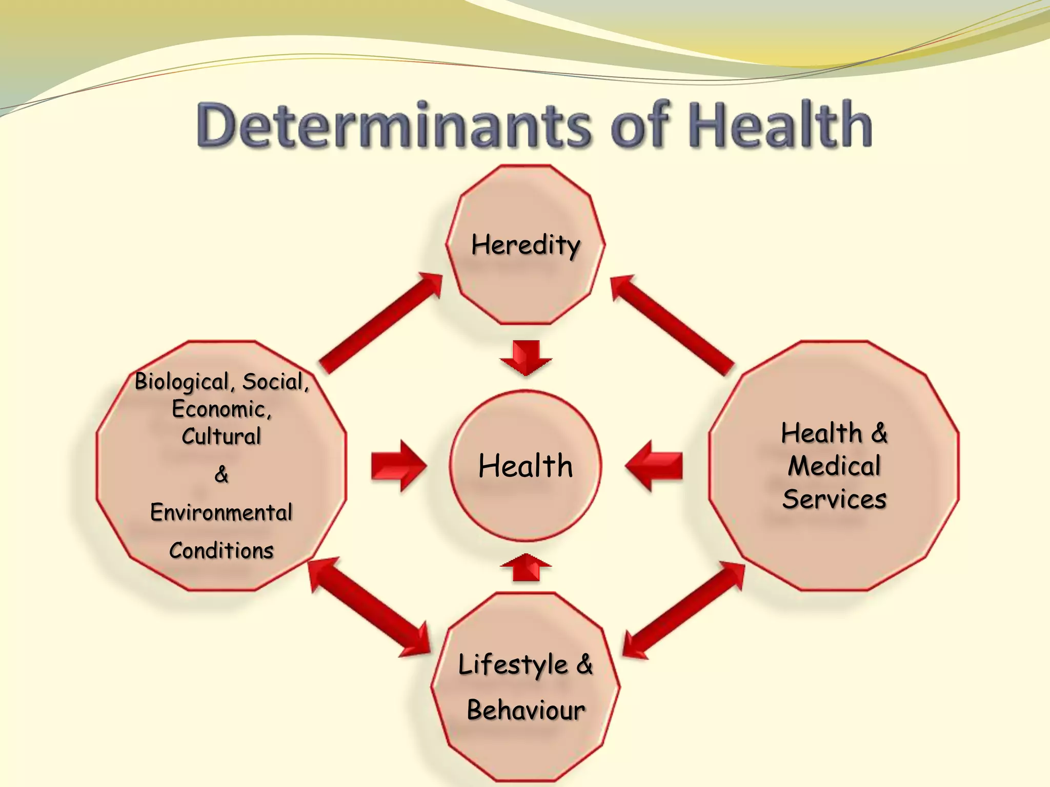 Health promotion -National Vector Borne Disease Control Programme | PPTX