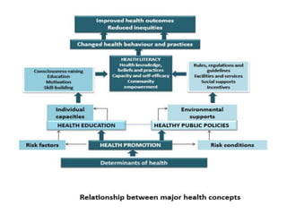 Health Promotion: Introduction | PPTX