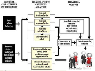 Health promotion model | PPTX