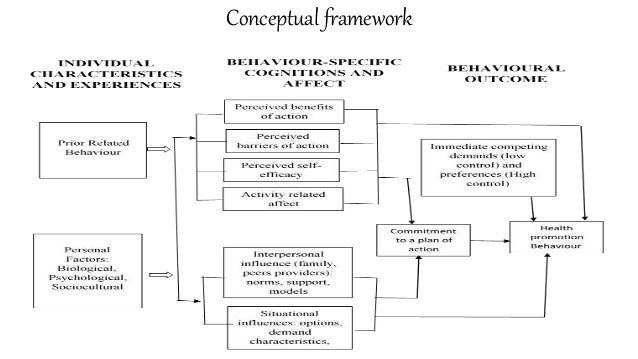 Health Promotion Model