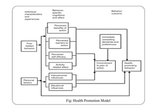 Health Promotion Model | PDF