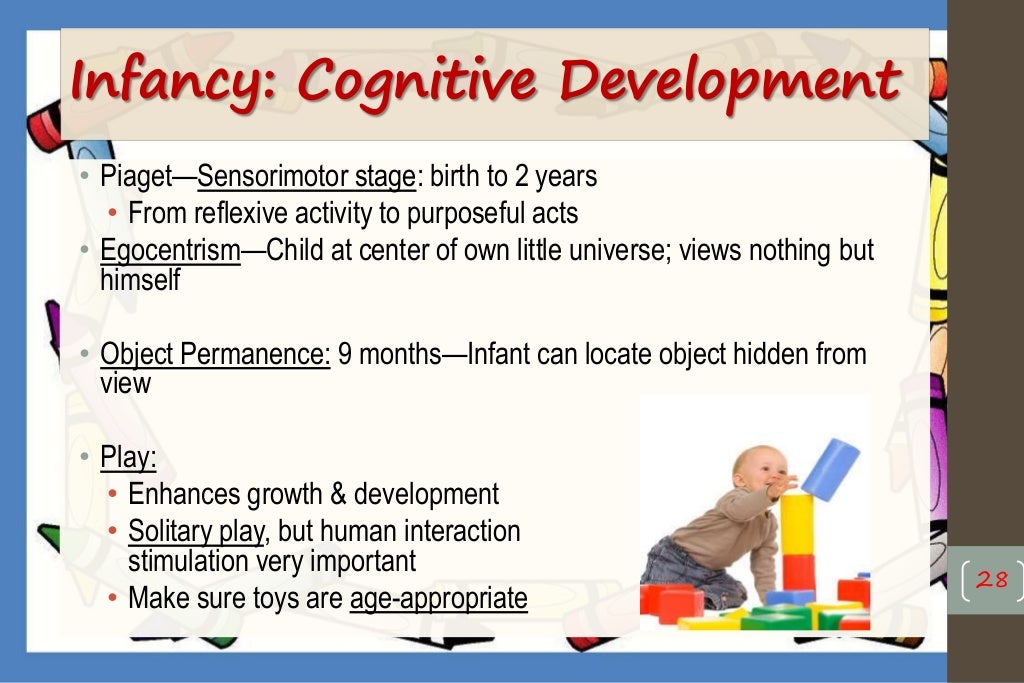 Health promotion of the infant & toddler