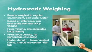 Health Related Components of Fitness | PPTX