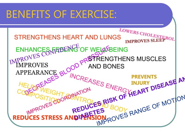 Health Related Fitness Components PPT.ppt | Heart and Cardiovascular ...