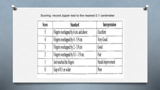 P E 2 - Health related fitness tests 1 | PPTX