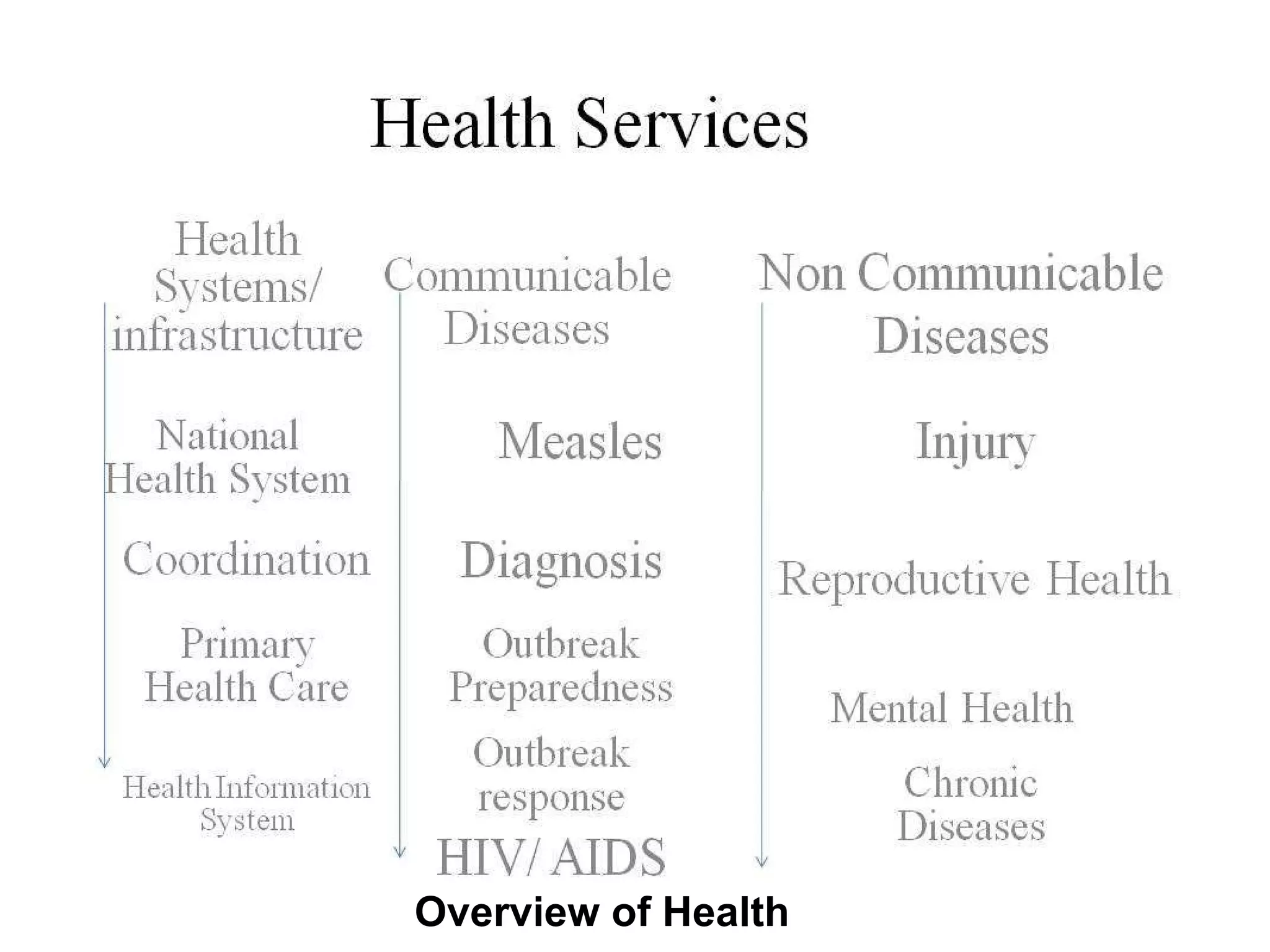 Health Risk Reduction Bihar | PPT