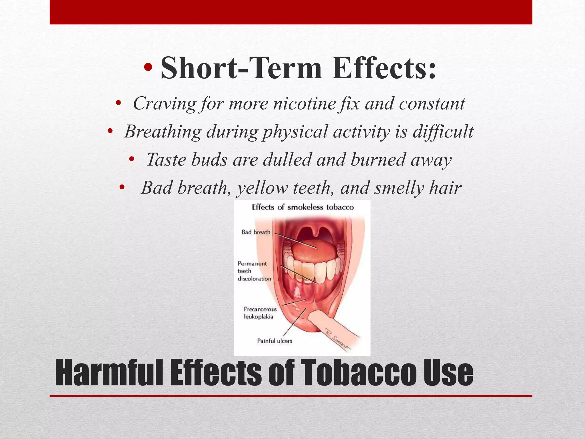 Health risks of tobacco lesson 1 textbook | PPTX | Illegal Drugs ...