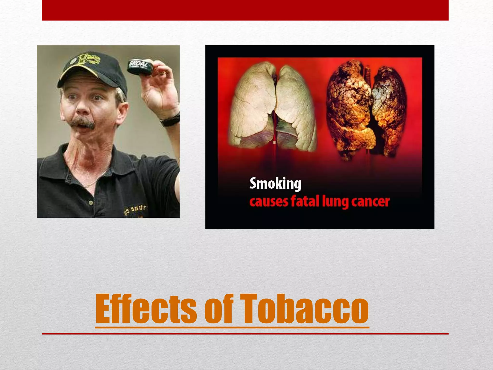 Health risks of tobacco lesson 1 textbook | PPTX
