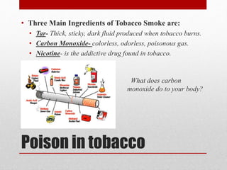 Health risks of tobacco lesson 1 textbook | PPTX