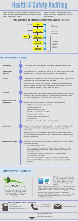 Health safety auditing | PDF