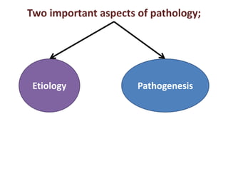 Introduction to pathology | PDF