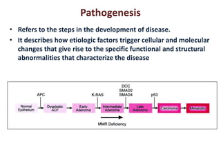 Introduction to pathology | PDF