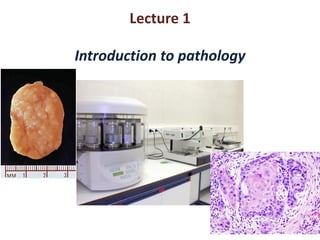 Introduction to pathology | PDF