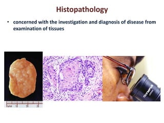 Introduction to pathology | PDF