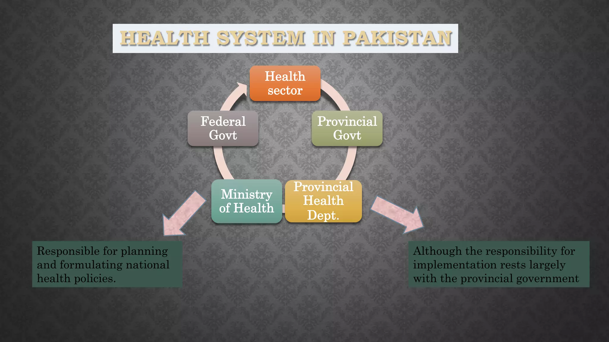 health sector of pakistan.pptx