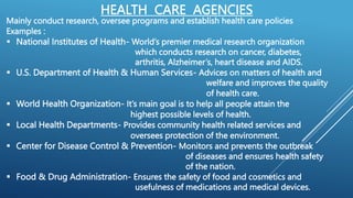 health services.pptx ecology and health care | PPTX