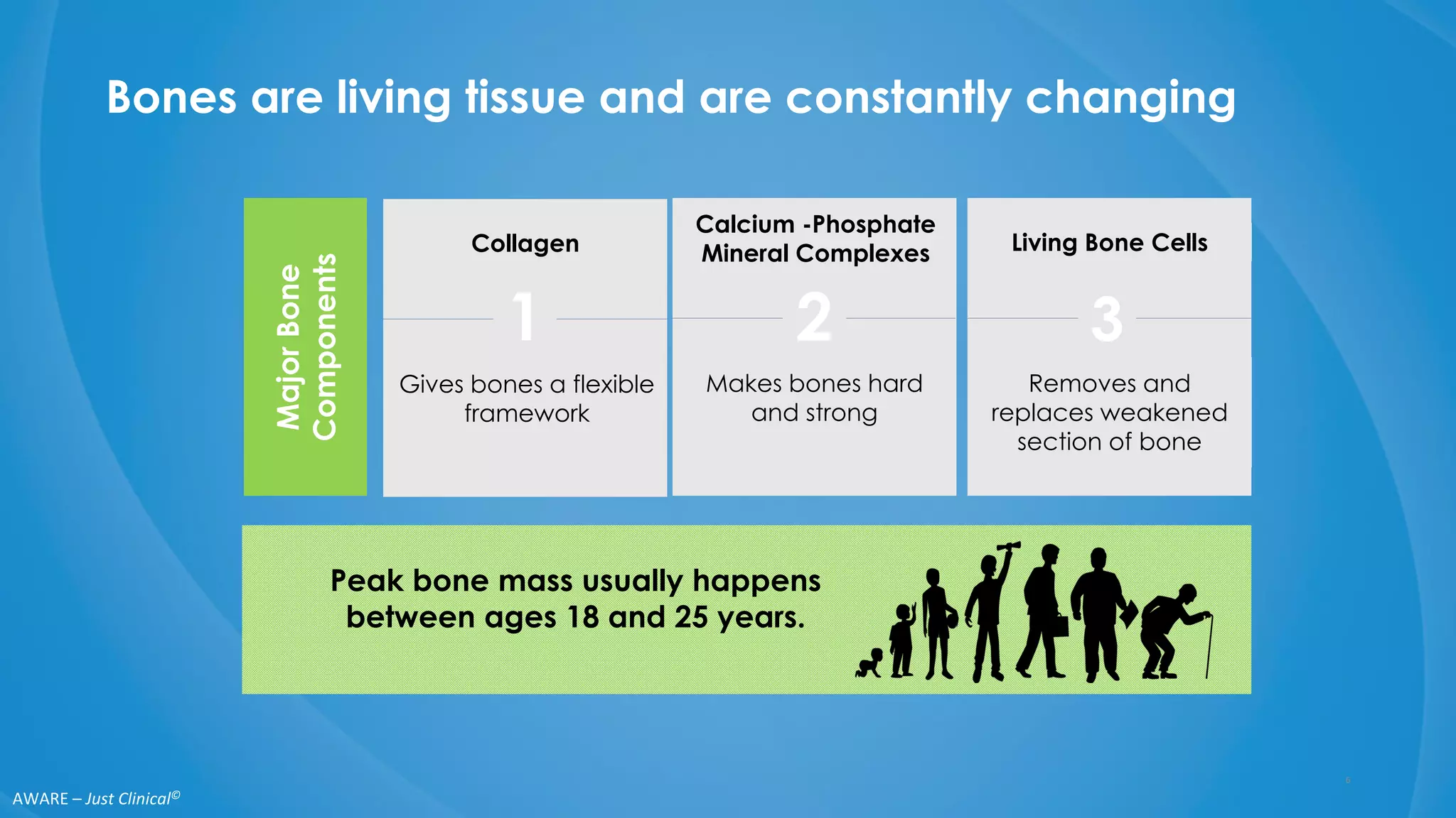 Healthstance Osteoporosis Awareness Month | PDF