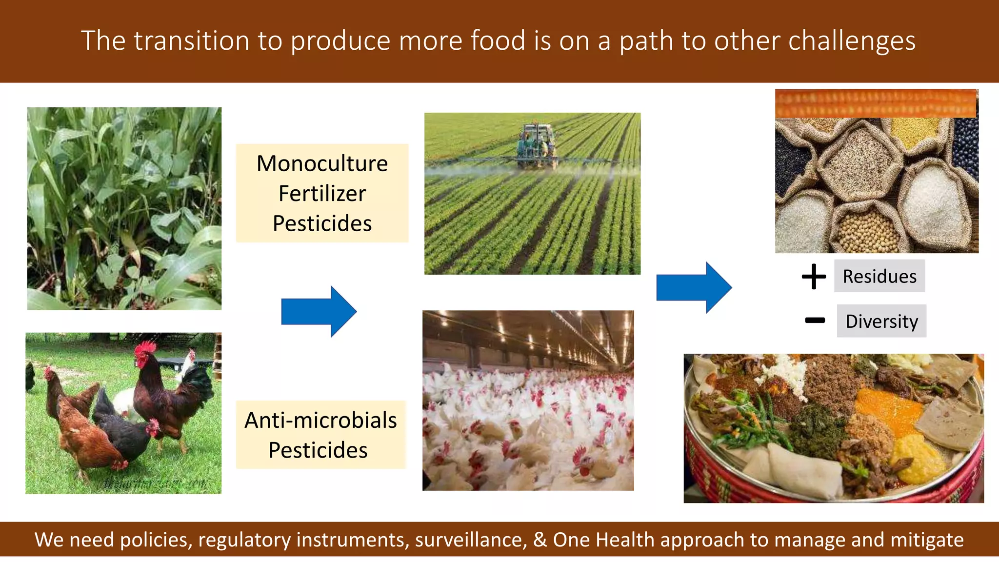 Food systems transformation: An African perspective of where we are and ...