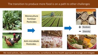 Food systems transformation: An African perspective of where we are and ...