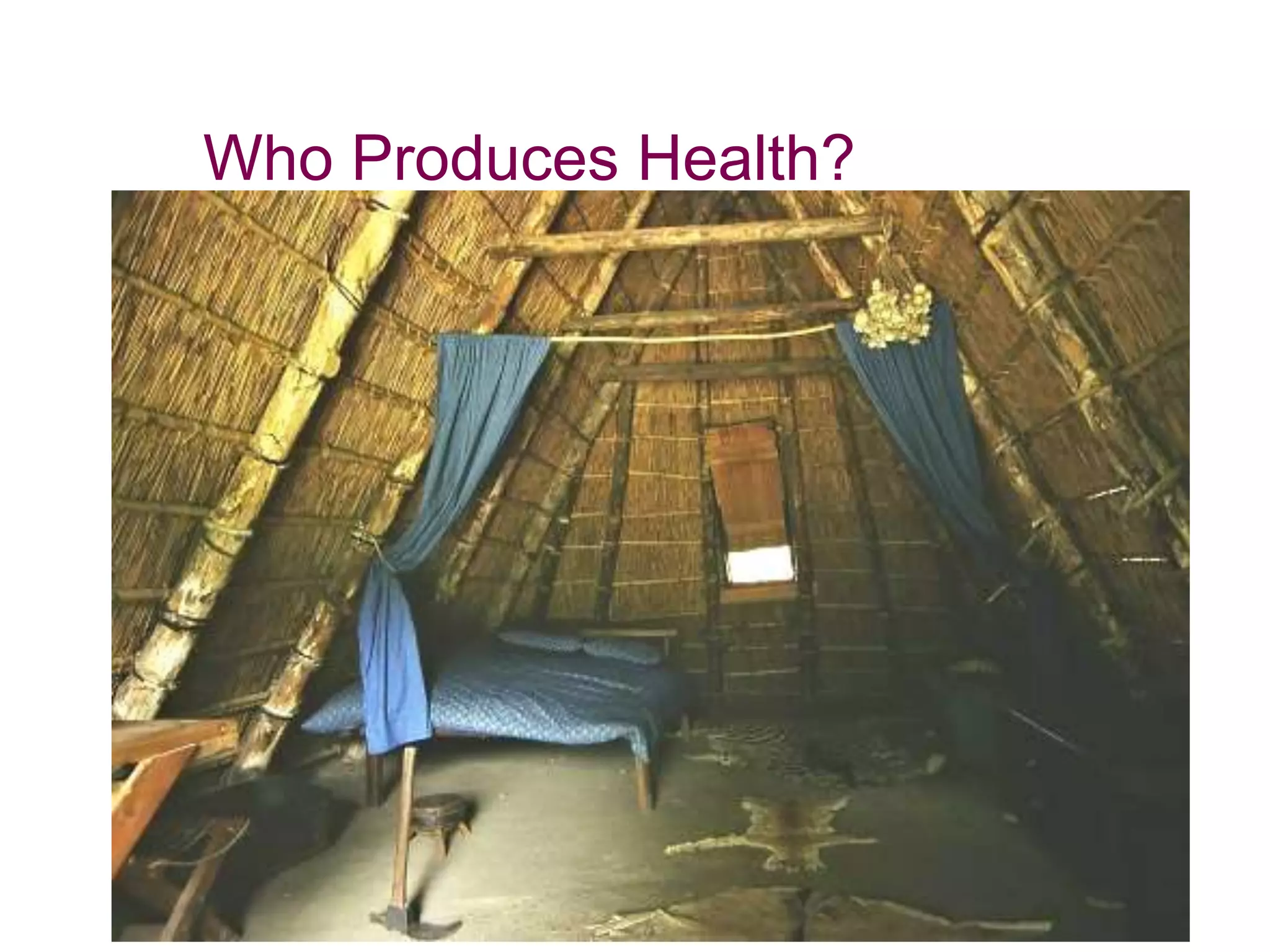 Health system elements | PPTX