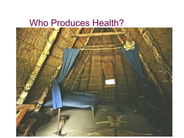 Health system elements | PPTX