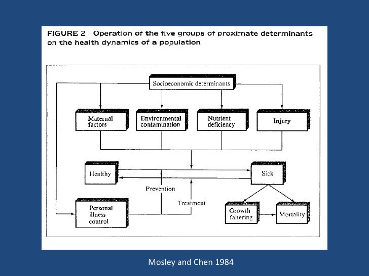 Conceptual Frameworks Health Systems And The Community